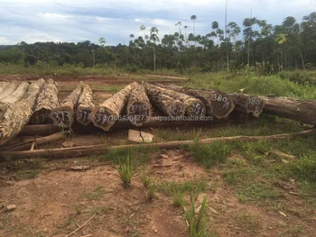 Wamara Logs - Buy Wamara Logs,Rosewood Logs,Wamara Rosewood Logs ...