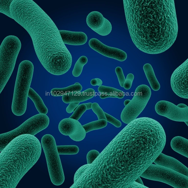 Composting Bacteria For Biodegradation Of Organic Waste - Buy Bacterial ...