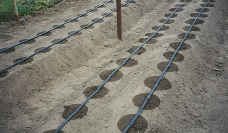 Underground Drip Irrigation Systems Sod