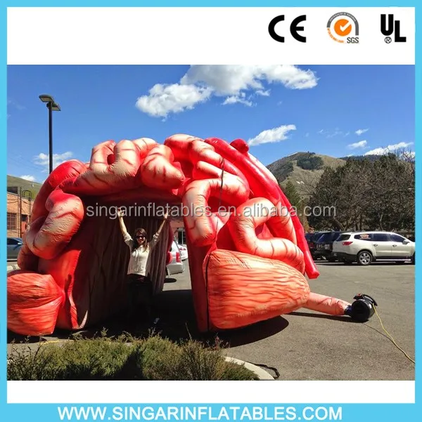 Custom Inflatable Medical Brain Props - Singar Quality