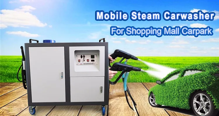 Lpg Mobile Car Wash Steam Machine Yx-s - Buy Car Washing Machine Car ...