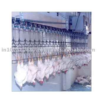 Automatic Chicken Processing Machine - Buy Chicken Processing Machine ...