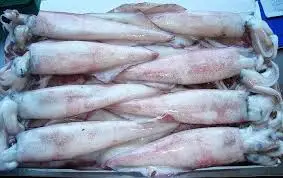 Frozen Squid Whole Round/ Baby Squid Whole Cleaned/ Frozen Arrow Squid ...
