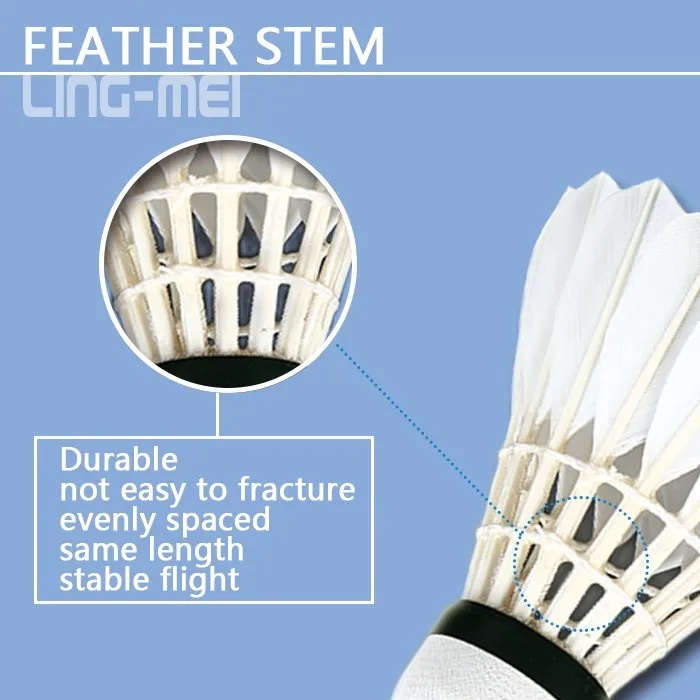 Aeroplane Black Label Eg1130 Goose Feather Shuttlecocks - Buy Aeroplane ...