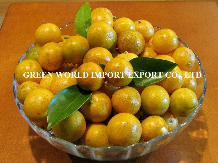 Frozen Calamansi Juice,Best Quality And Best Price From Vietnam - Buy ...