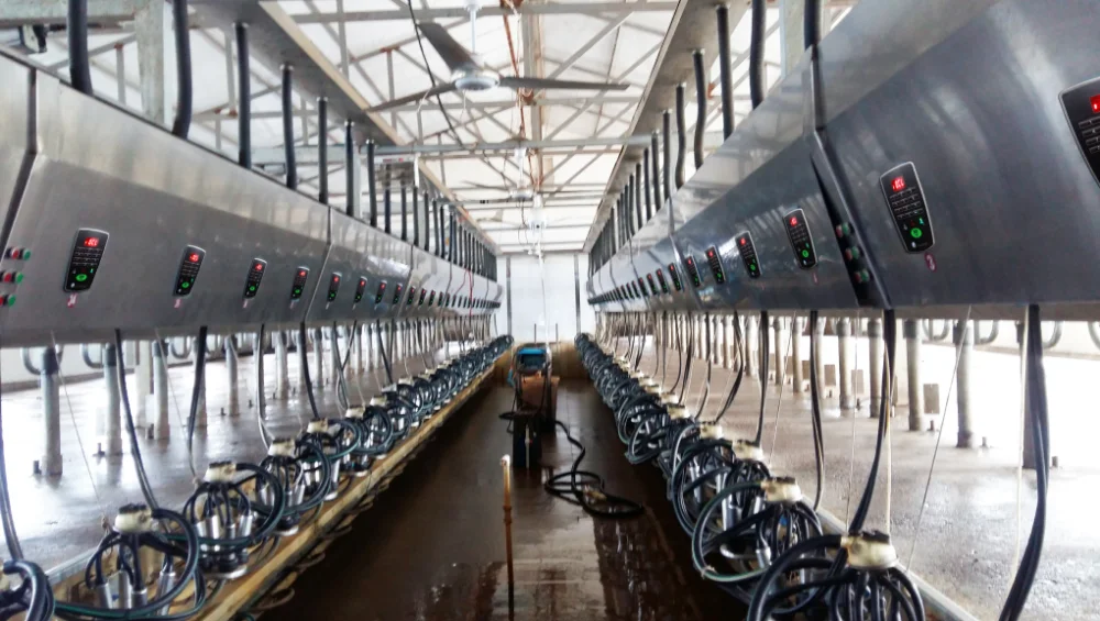 Electronic Milk Meter Milking Parlor - Reliable & Efficient