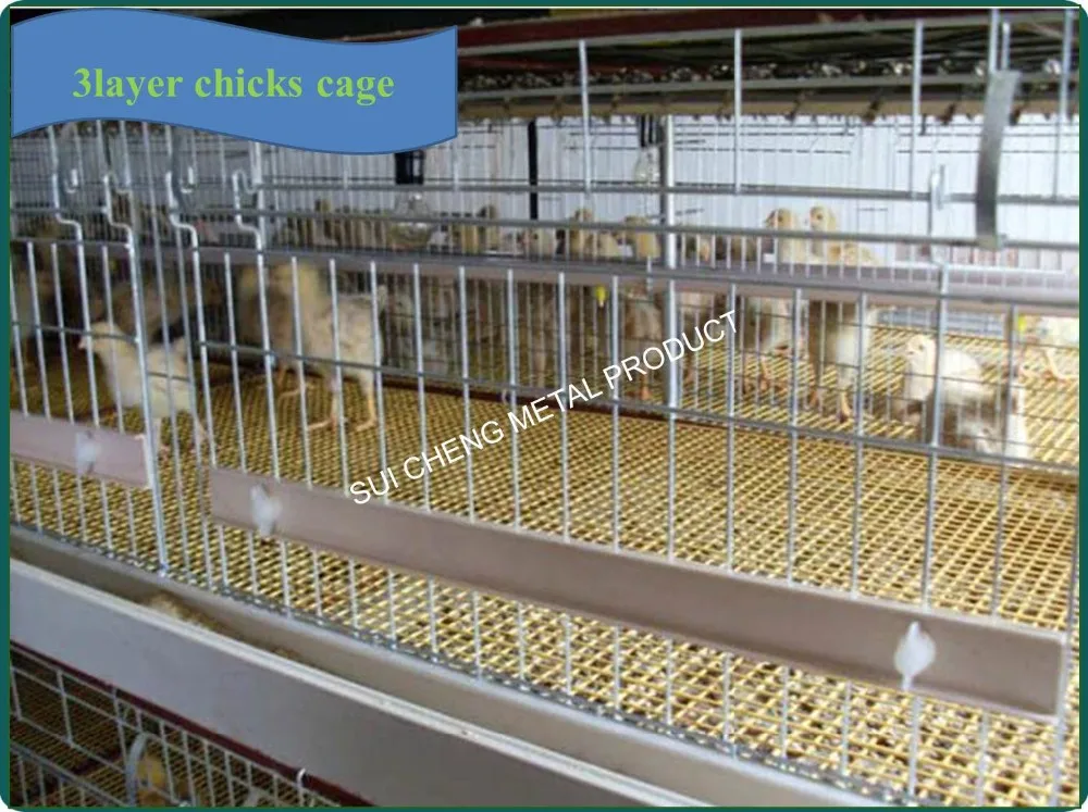 Guangzhou Baby Chick Cage H Type Small Chicken Cage 300chickens Cage ...