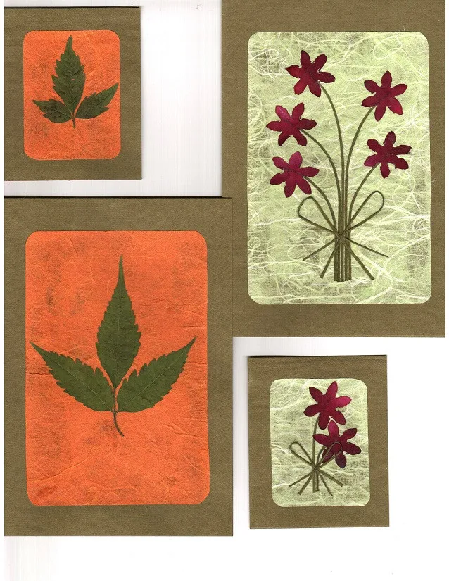 Natural Skeleton Leaf Greeting Cards Suitable For Greeting Card Stores ...