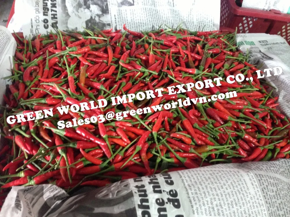 Fresh/ Frozen/ Dried Organic Chilli With Cheapest Price - High Quality ...