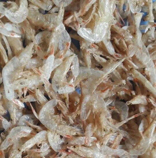 High Quality Dried Baby Shrimp/ Baby Krill - Acetes Japonicus - Buy ...