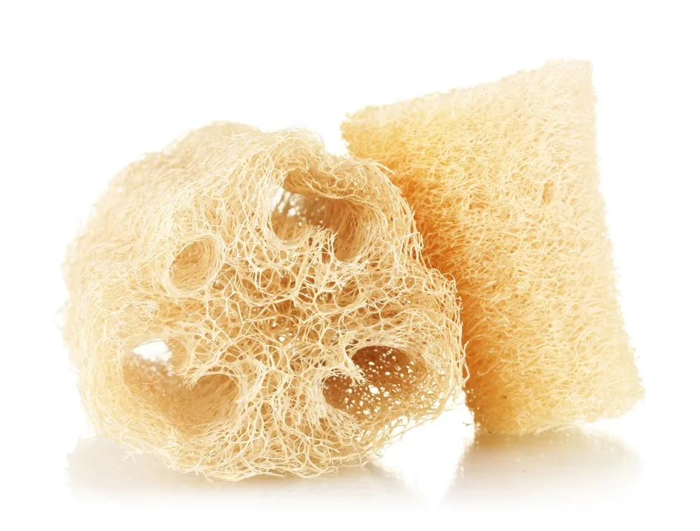 Natural Luffa Sponge - Exfoliating Body Cleaning Tool