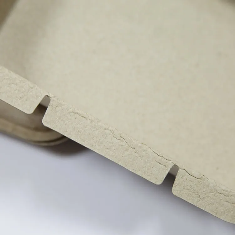 Eco-friendly Sugar Cane Pulp Boxes - Biodegradable Packaging