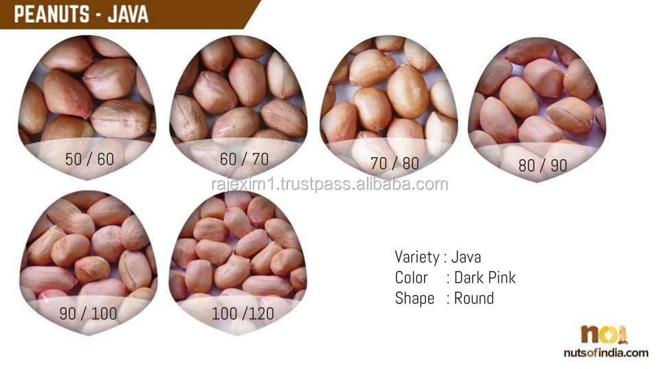 Fresh Raw Bold Peanuts 38/42 Count - Buy Peanuts,Raw Peanuts,Peanut ...