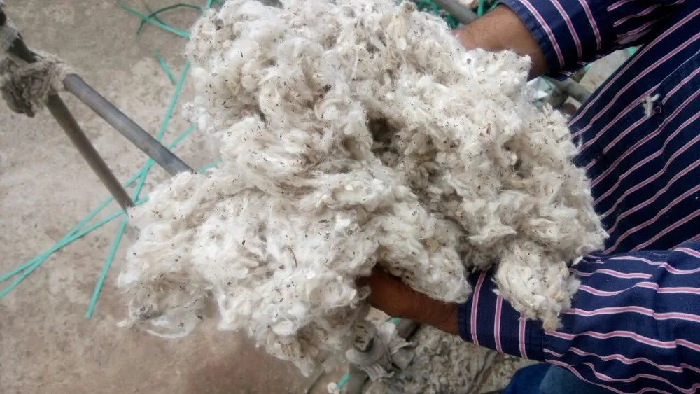 Cotton Lycrine B Grade /100% Cotton Dropping /100% Cotton Lickerin ...