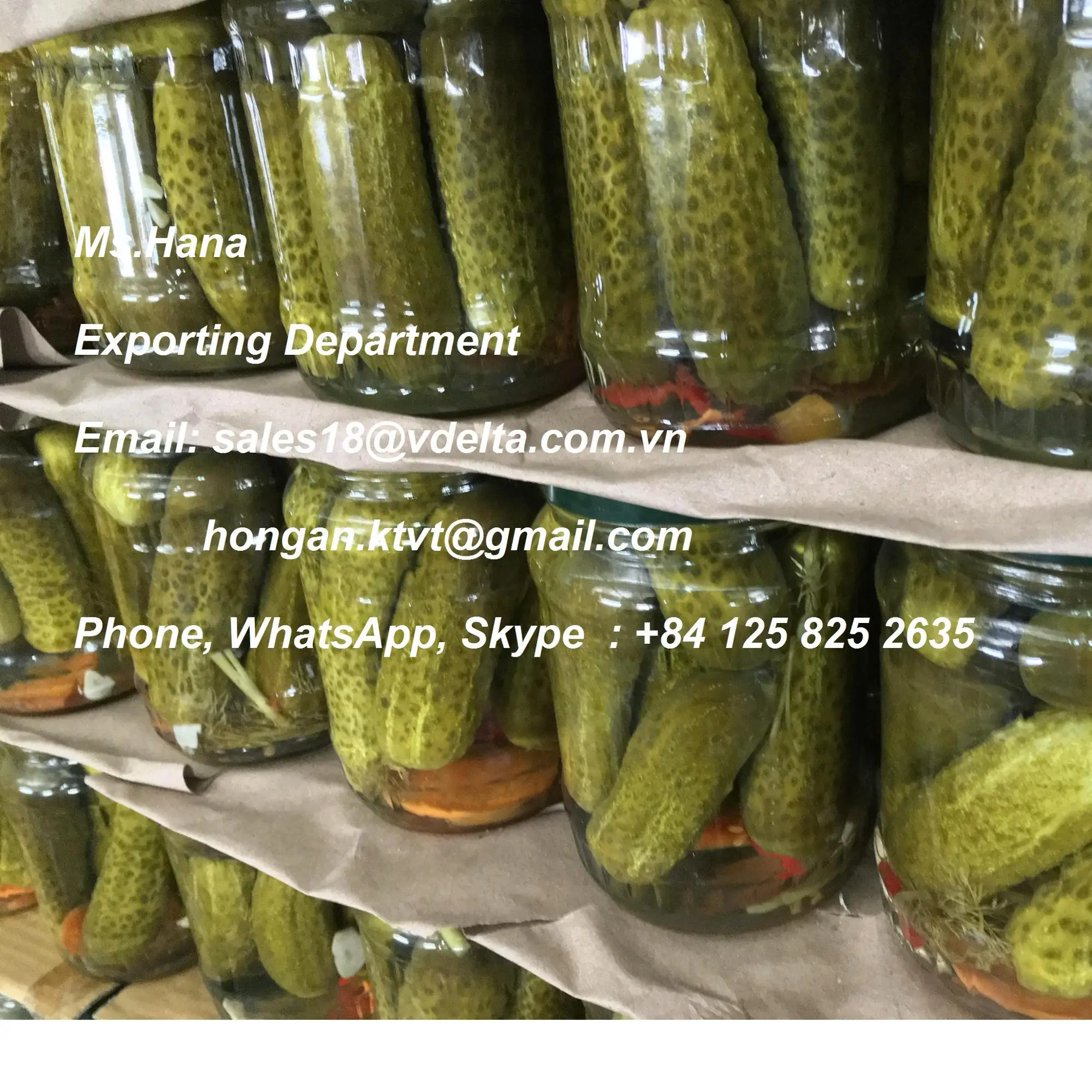 Canned Cucumber (gherkins) - Salty, Natural, and ISO Certified
