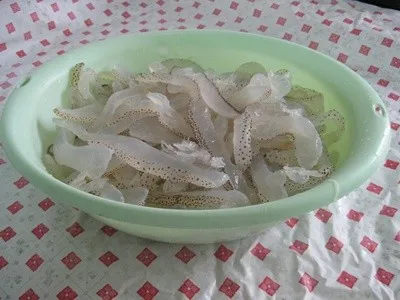 Dried Jellyfish from Vietnam - Nutritious & Salty Delight