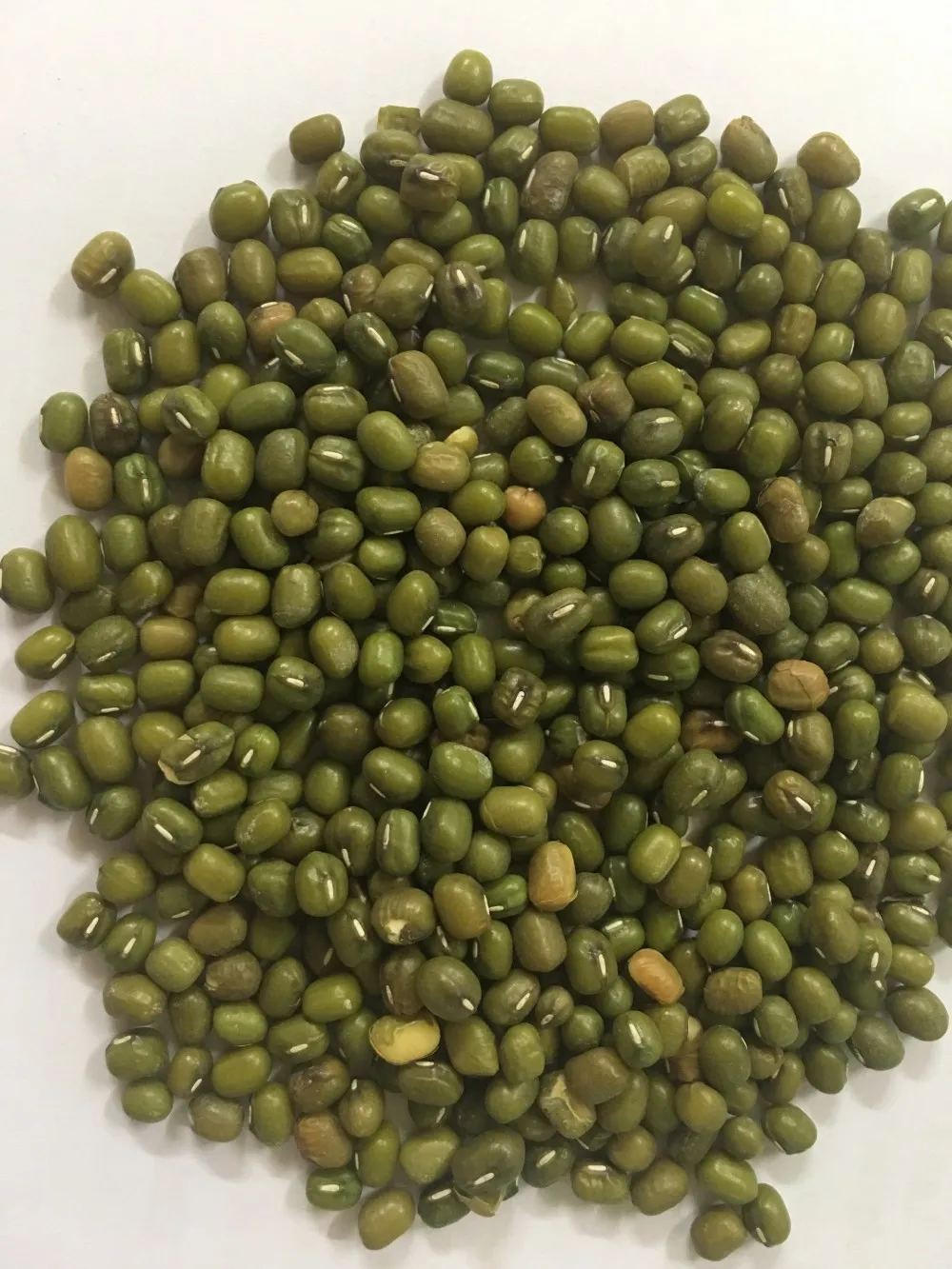 Best Price For Green Mung Beans - Buy Green Mung Bean,Mung Bean,Bean ...