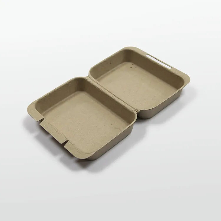 Eco-friendly Sugar Cane Pulp Boxes - Biodegradable Packaging