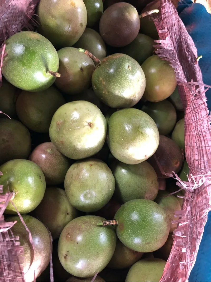 Passion Fruit Concentrate - Frozen Passion Fruit Puree - Passion Fruit ...