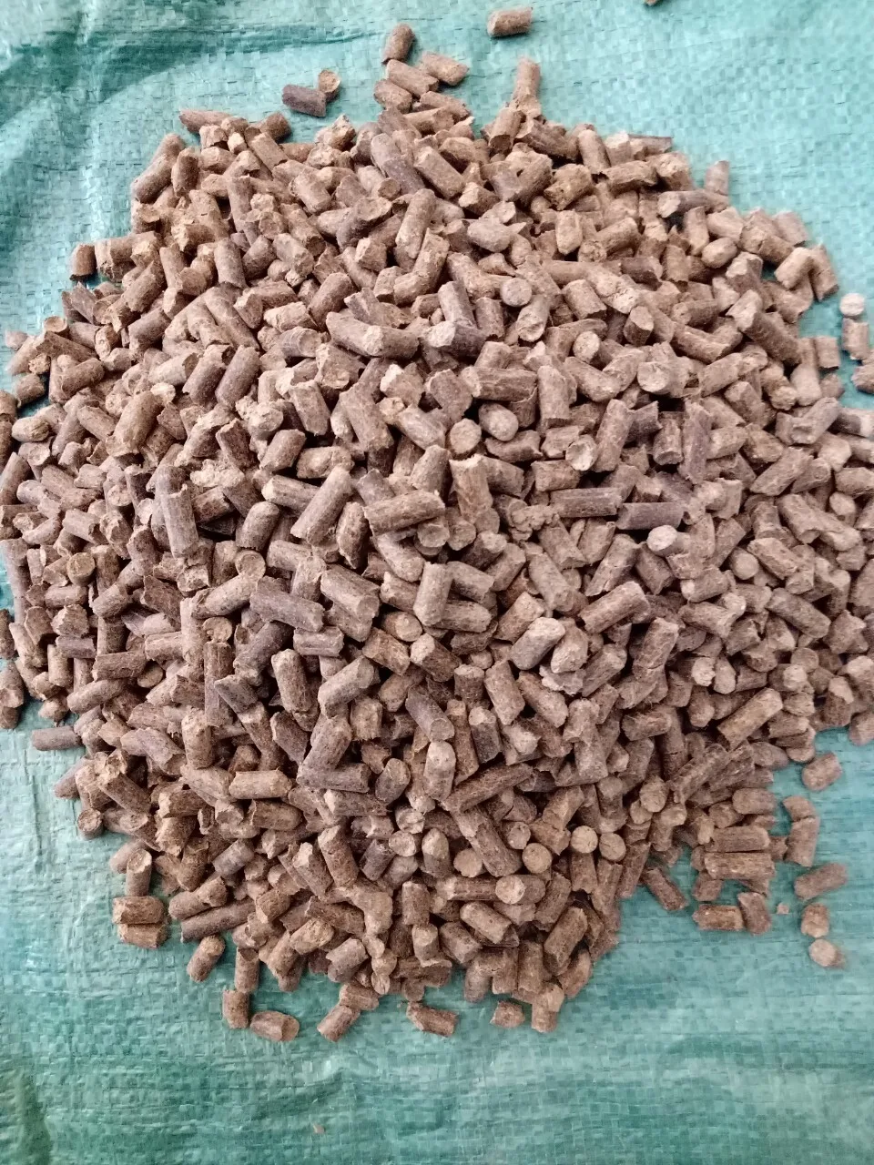 Bagasse Pellets from Vietnam - Cheap and Sustainable Fuel