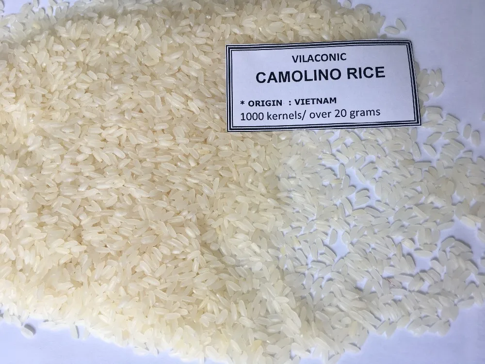 Vietnam Medium/ Camolino Rice 5% Broken Highest Quality With Best Price ...