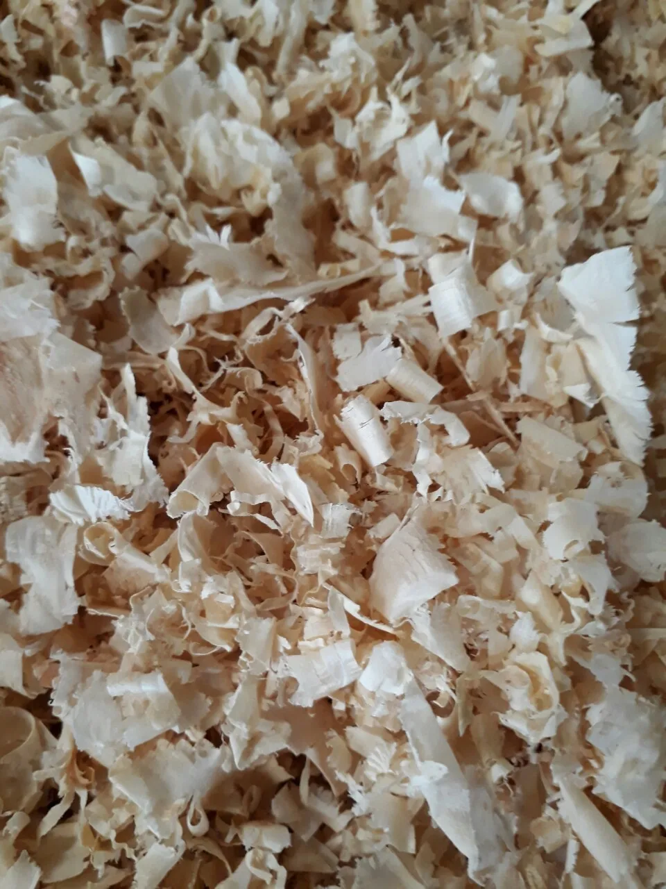 100% Pine Wood Shavings - Warm and Durable Agricultural Waste
