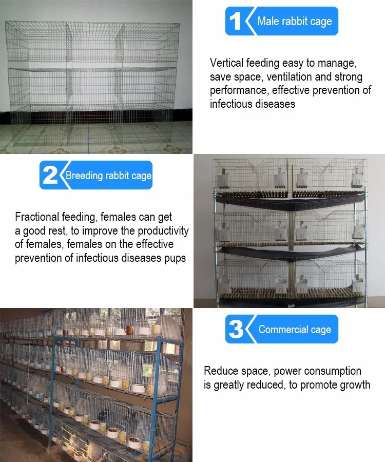 Commercial Rabbit Breeding Cages From Direct Factory - Buy Rabbit ...