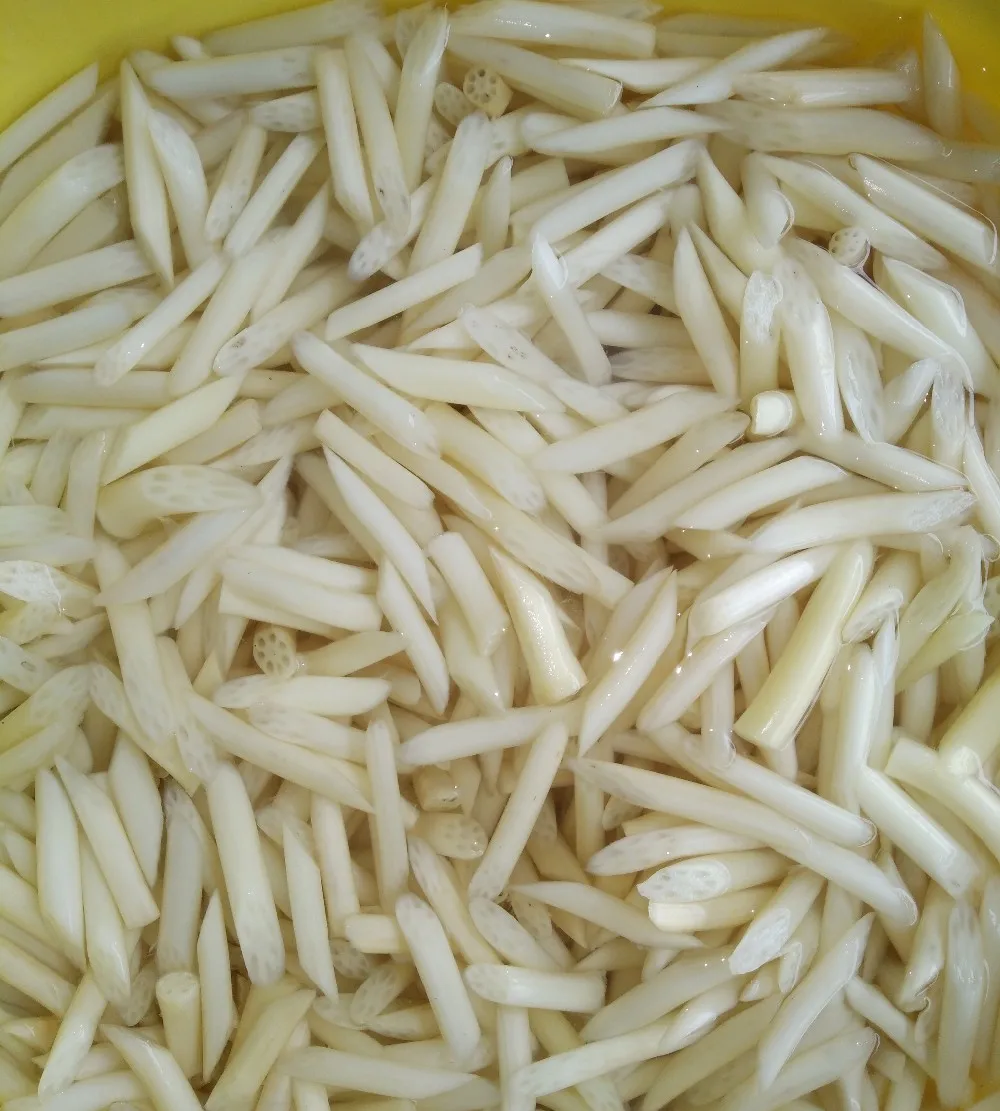 Lotus Rootlet Thin Grade - Pickled Lotus Root - Sliced Lotus Roots