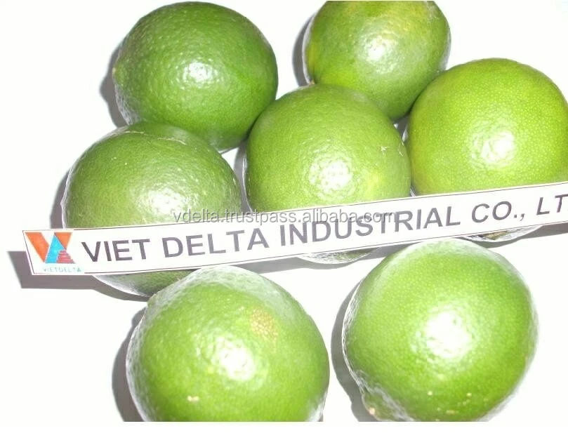 Vietnam's Best Quality Lemon - Seedless & Fresh Lime