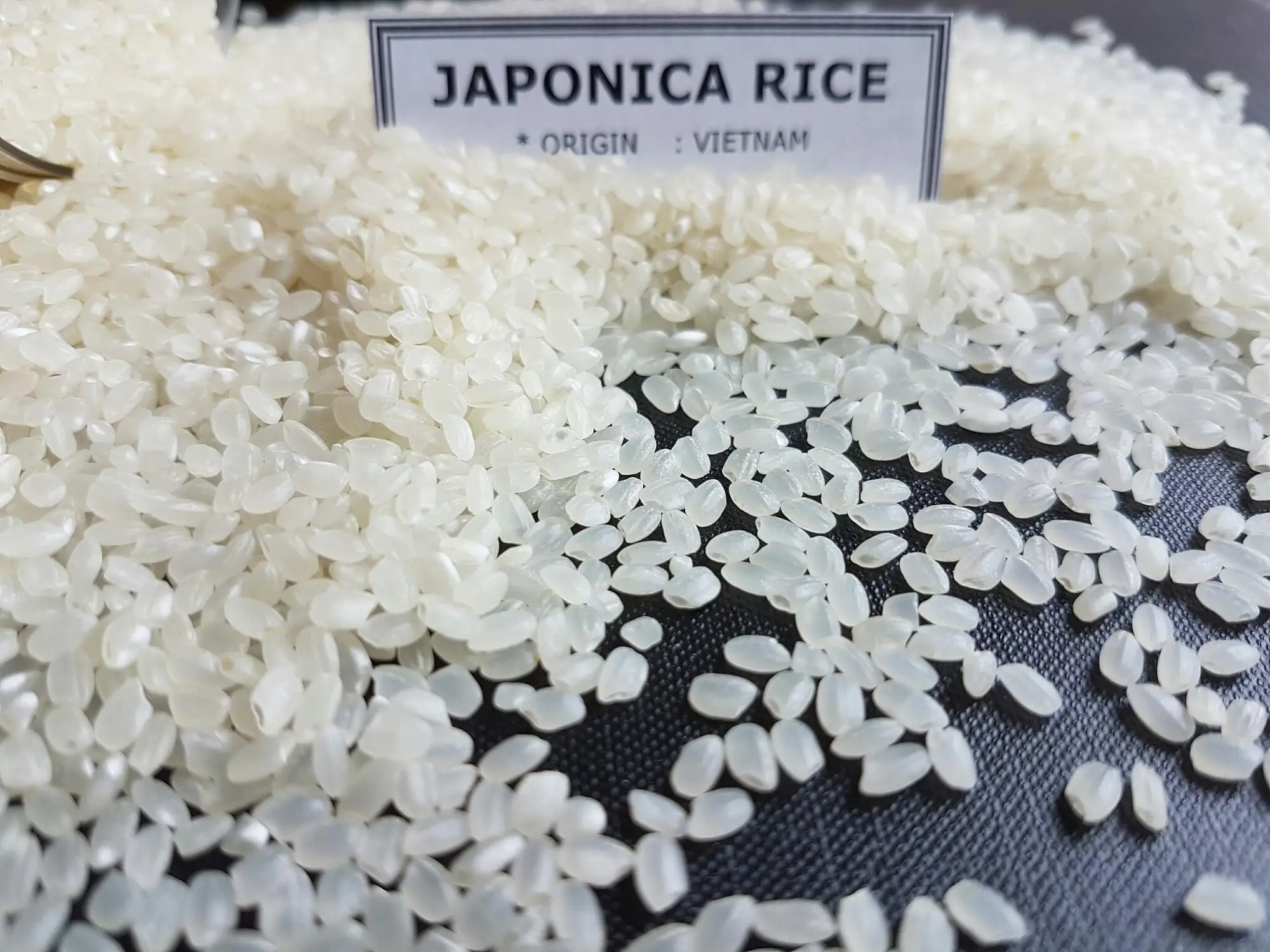 Best Japonica Rice,Japanese Rice Exporter From Vietnam - Buy Rice,Short ...