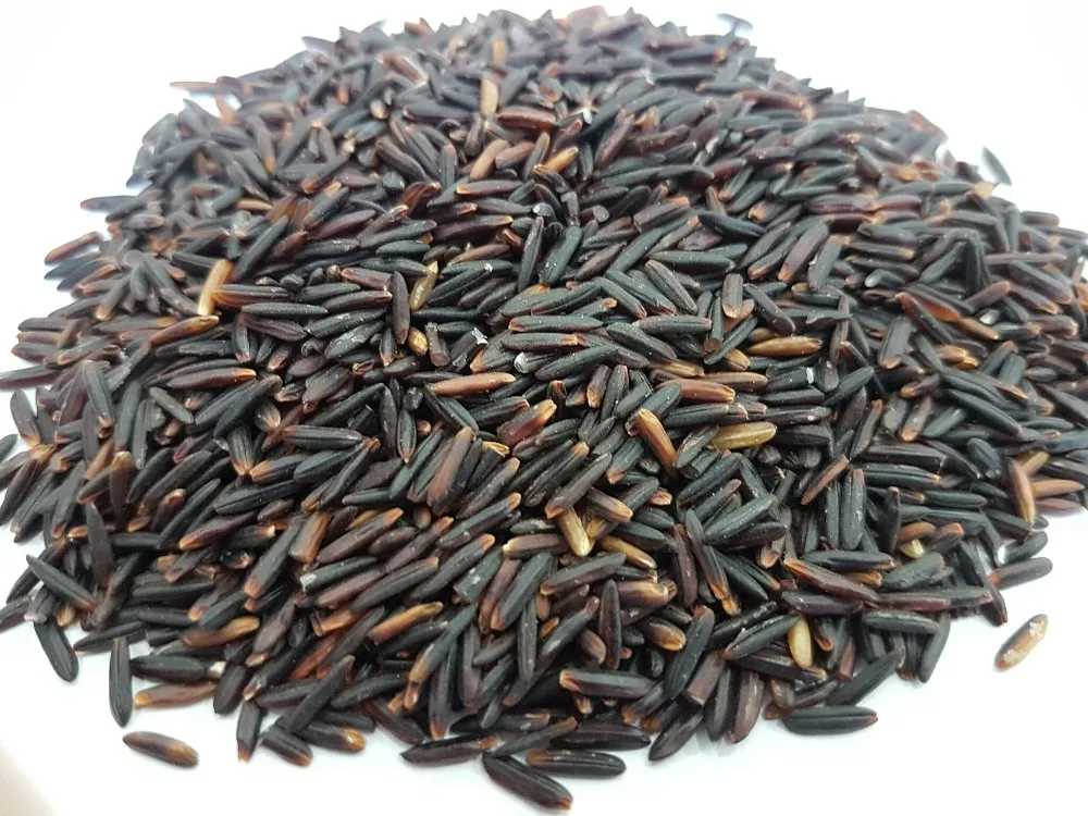 Thai Black Rice - Nutritional Aromatic Rice from Vietnam