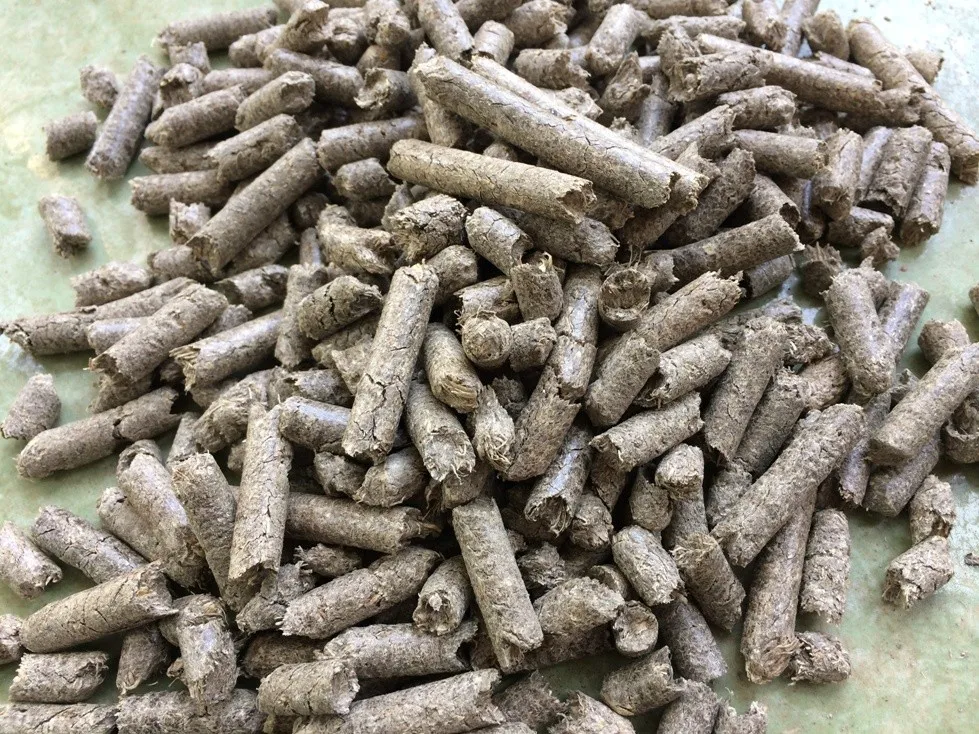 Bagasse Pellets from Vietnam - Cheap and Sustainable Fuel