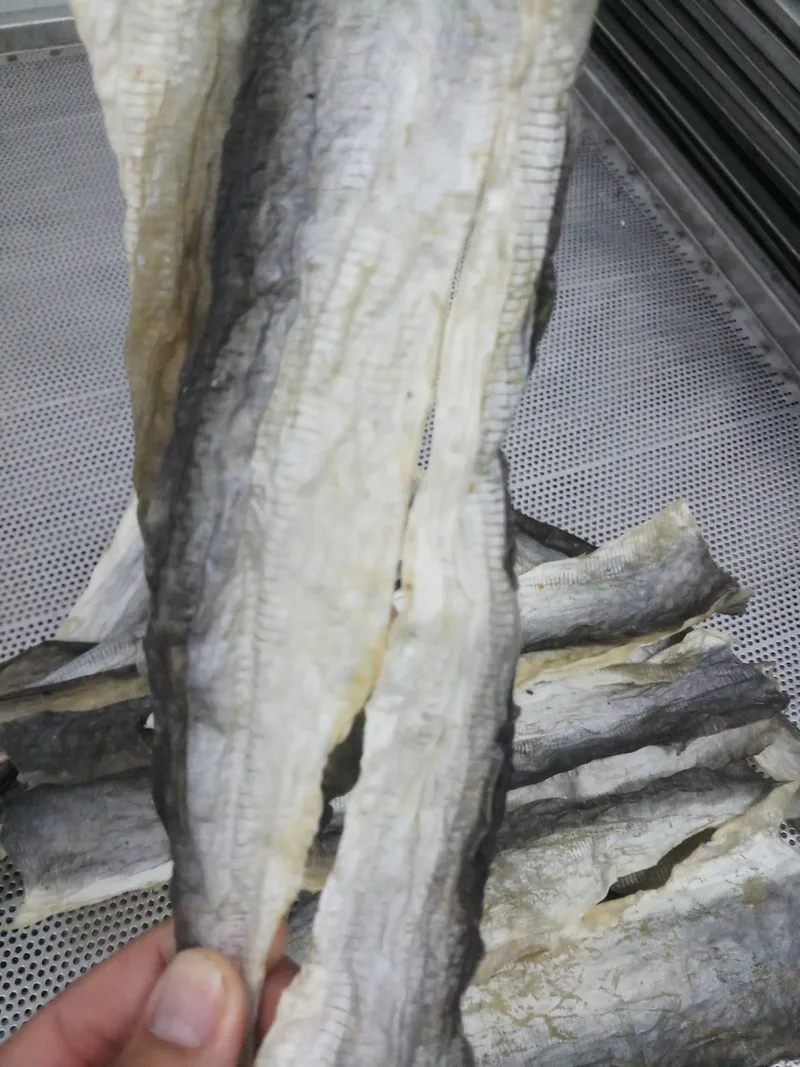 CRISPY FISH SKIN SNACKS - Nutritious & Delicious