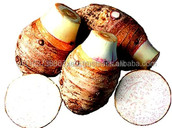 DRIED TARO/ TARO CHIPS HIGH QUALITY in VIETNAM in 2020
