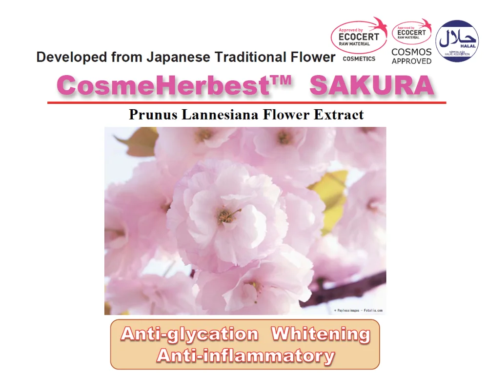 Japanese Sakura Flower Extract Liquid With ECOCERT, HALAL for Cosmetics ...