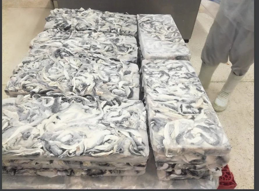 FISH SCALE/ FROZEN SKIN - Dried Fish Products from Viet Delta