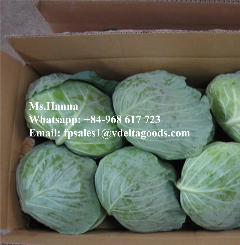 Export High Quality Fresh Cabbage / Dried Cabbage - Buy Cabbage Flakes ...