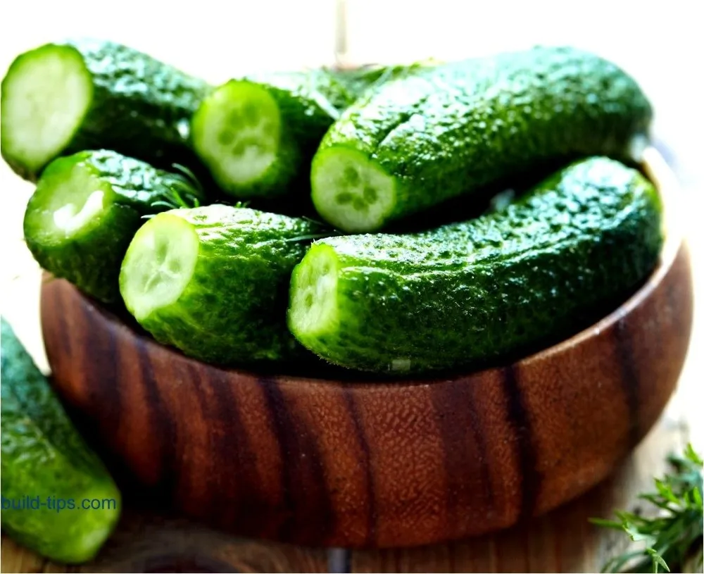 High Quality Cornichon Pickles - Special Taste from Vietnam