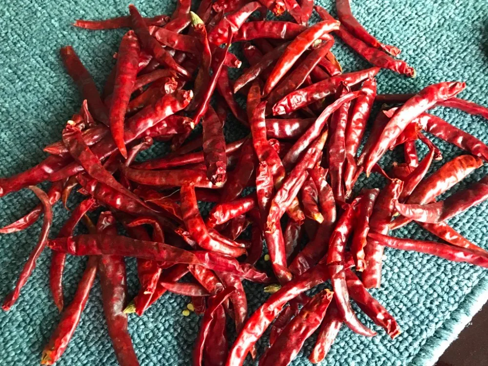 Teja Chili Dried - Buy Dried Red Chillies,Indian Chili Teja S17 Without ...
