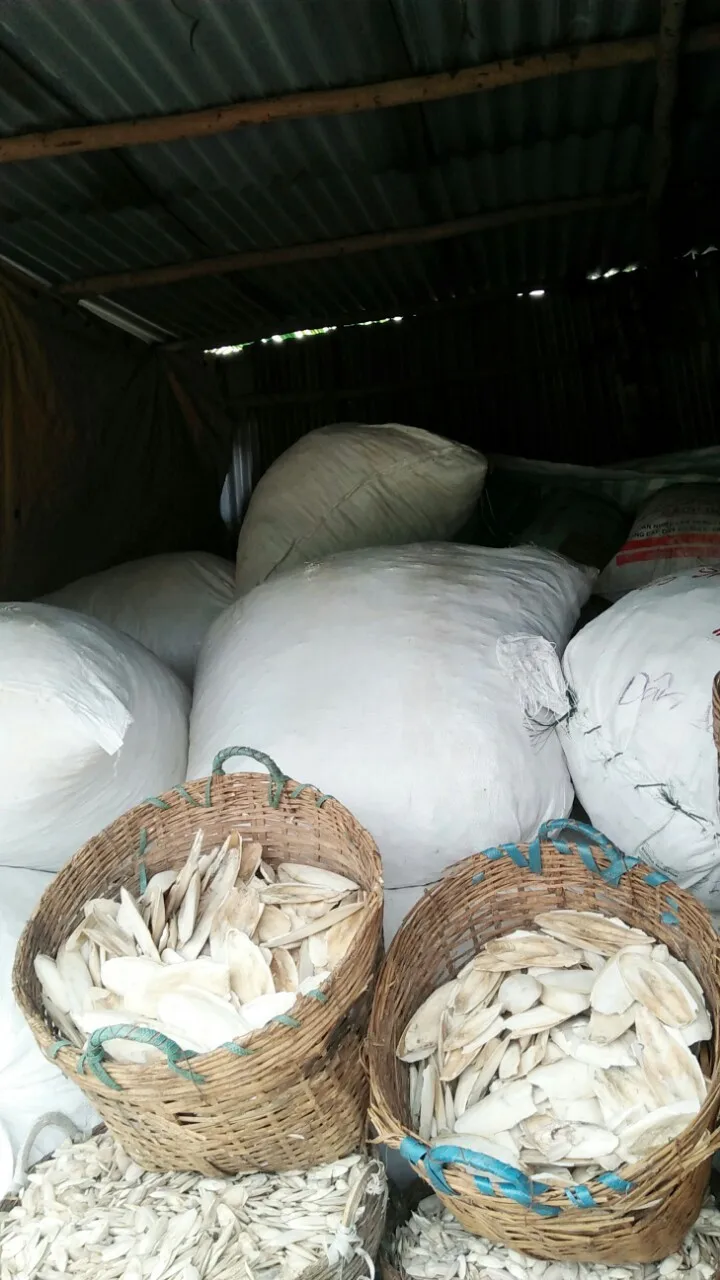 Best Price Cashew Husk /cashew Testa Skin 2021/ Whatsapp: +84 845 639 ...