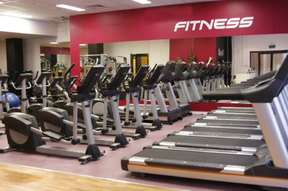 High Quality Gym Frog Machine Indoor Sports Fitness Equipment - Buy ...