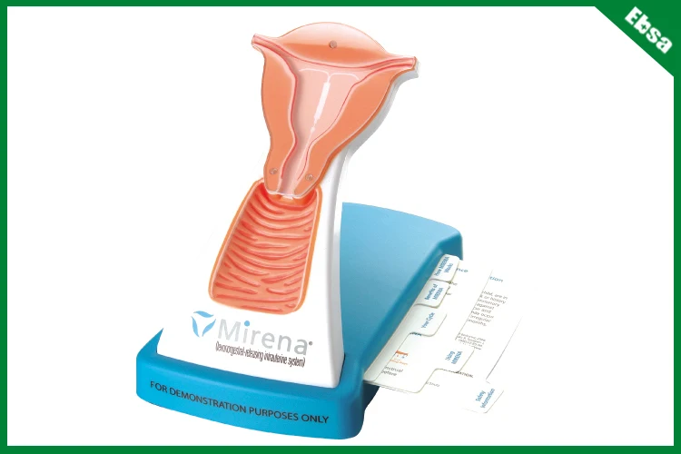 Advanced Medical Supplies - Human Teaching IUD Model