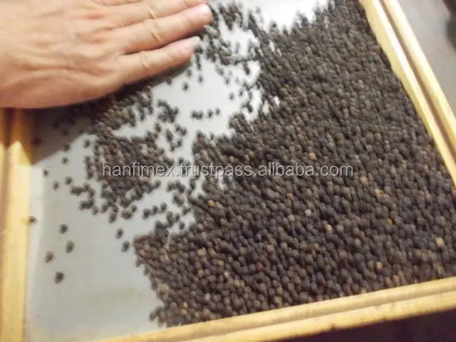 Vietnam Black Pepper Corn/whole Grain Black Pepper/poivre Noir 500g/l, 550g/l, 570g/l Price for ...