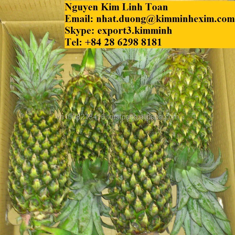 Fresh Queen Pineapple - Sweet and Juicy Tropical Fruit