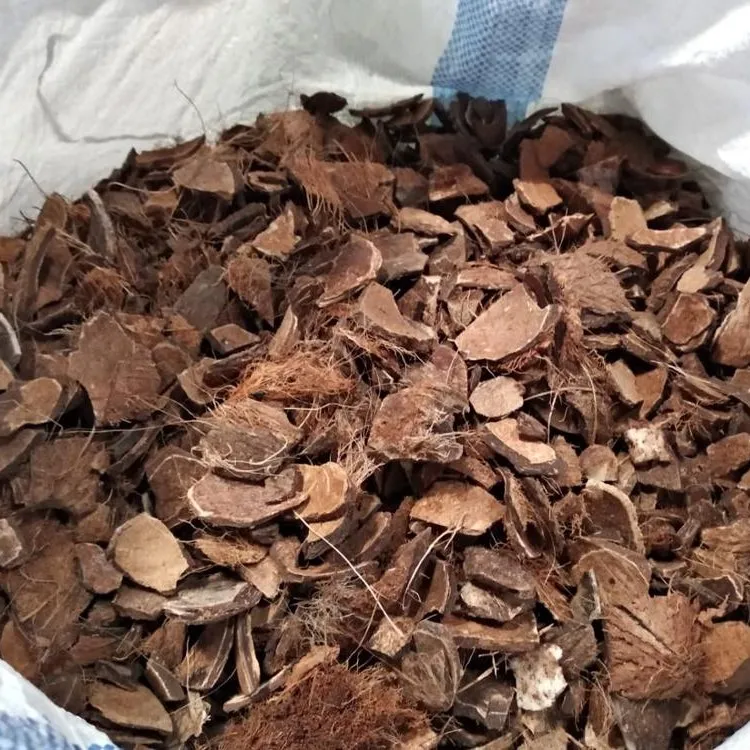 Raw Coconut Shell, Crushed Coconut Shell, Dry Coconut Shell from Vietnam