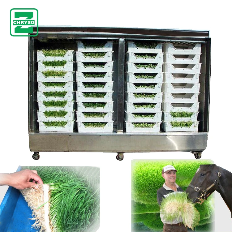 Commercial Seed Germination Machine Automatic Bean Sprout Maker Fodder ...