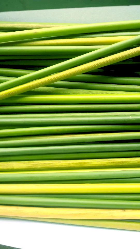 Best Reusable Eco Friendly Straw - Grass Drinking Straw-wheat Drinking ...