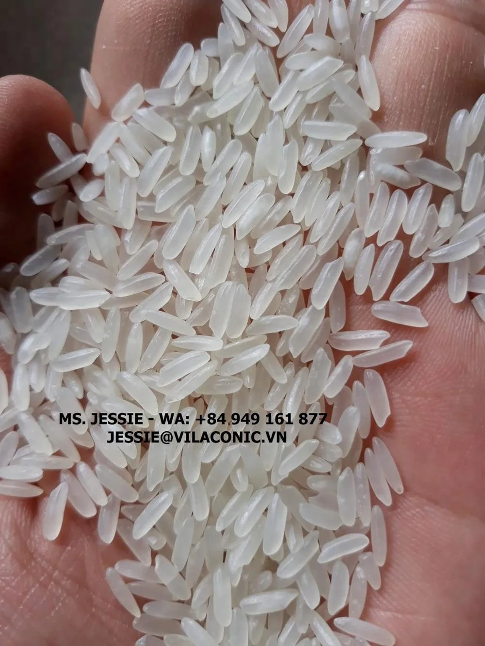 Pure Milagrosa Jasmine Rice Premium Quality - Ms. Jessie Exporter To ...