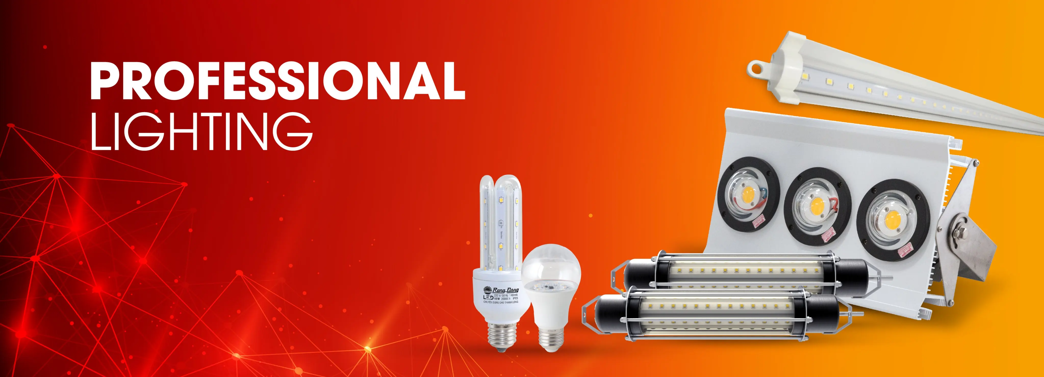 RANG DONG LIGHT SOURCE AND VACUUM FLASK JOINT STOCK COMPANY - LED ...