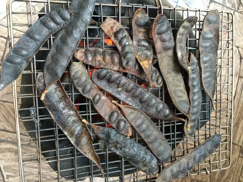 Dried Gleditsiae/ Fructus Gleditschiae For Hair In Vietnam==(contact To +84845639639) - Buy ...